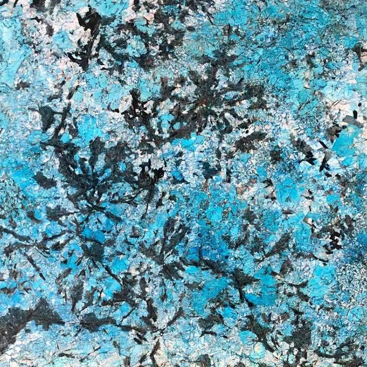 Luxury natural stone countertop deep royal blue quartzite granite