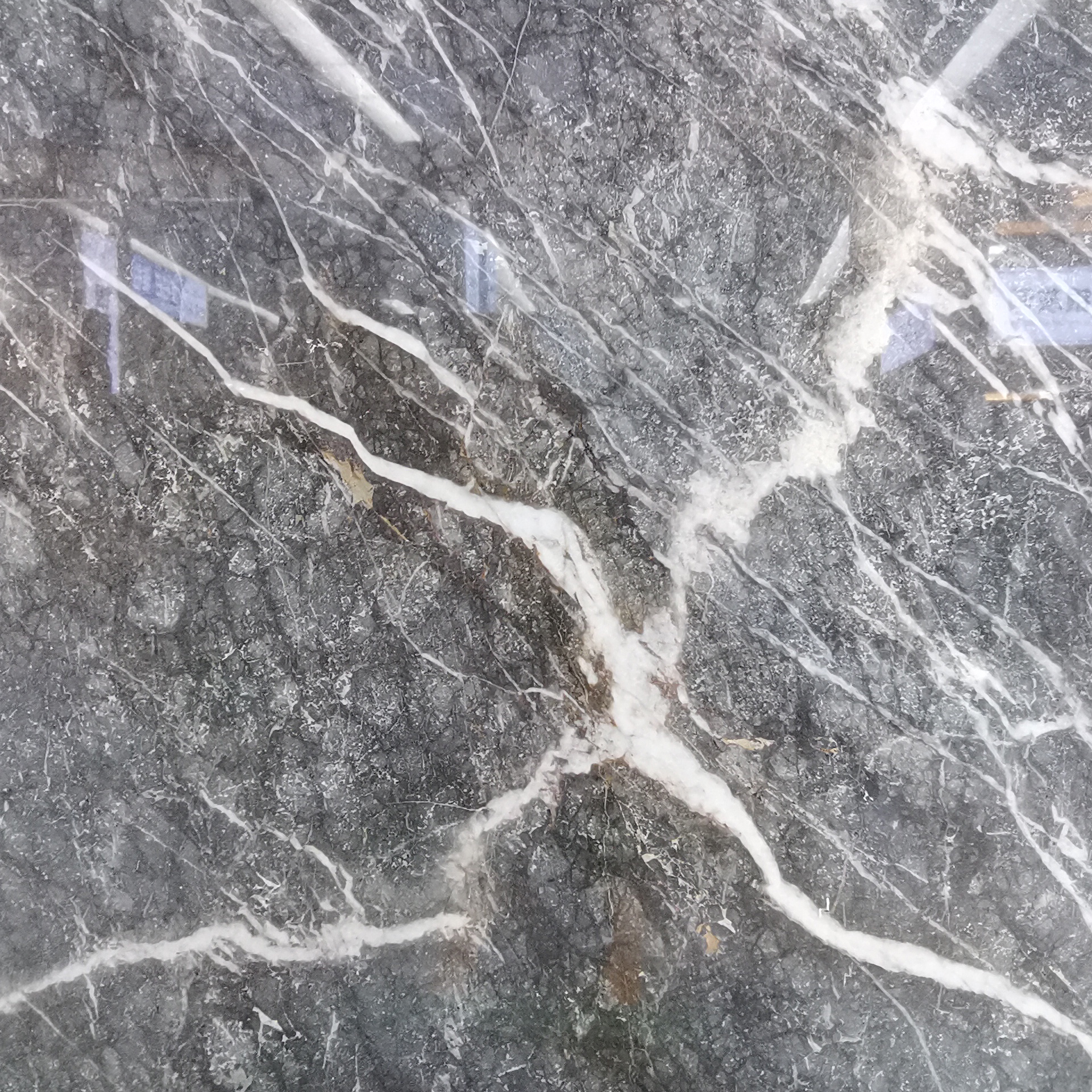 Marble Floor Texture Seamless